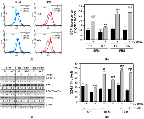 IJMS | Free Full-Text | Compound C Inhibits Renca Renal Epithelial ...