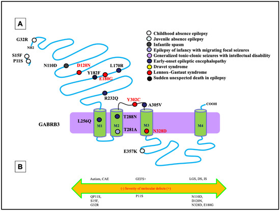 Variable Expression of GABAA Receptor Subunit Gamma 2 Mutation in a ...