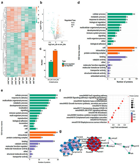 Comparative Proteomic Analysis of Liver Tissues and Serum in db/db Mice