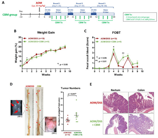 Presume Why Probiotics May Not Provide Protection in Inflammatory Bowel ...