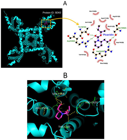 Characterization in Effective Stimulation on the Magnitude, Gating ...