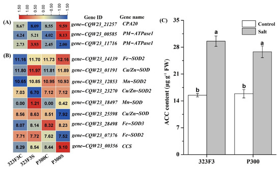 Comparative Physiological and Transcriptomic Analyses of Two Contrasting Pepper Genotypes under ...