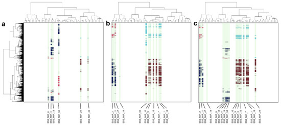 Pitx Terminal Floor Plan - Infoupdate.org