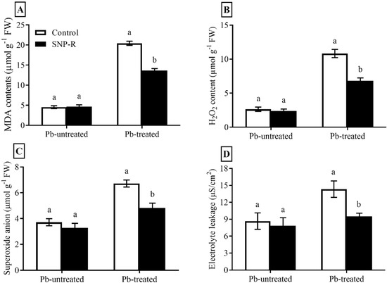 Exogenously Applied Sodium Nitroprusside Mitigates Lead Toxicity in ...