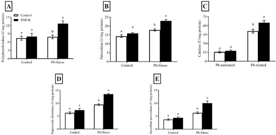 Exogenously Applied Sodium Nitroprusside Mitigates Lead Toxicity in ...
