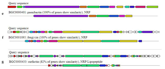 Complete Genome Sequence Analysis of Bacillus subtilis Bbv57, a ...