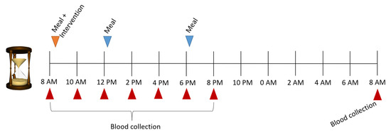 The Diurnal Blood Metabolome and Effects of Vitamin D Supplementation ...