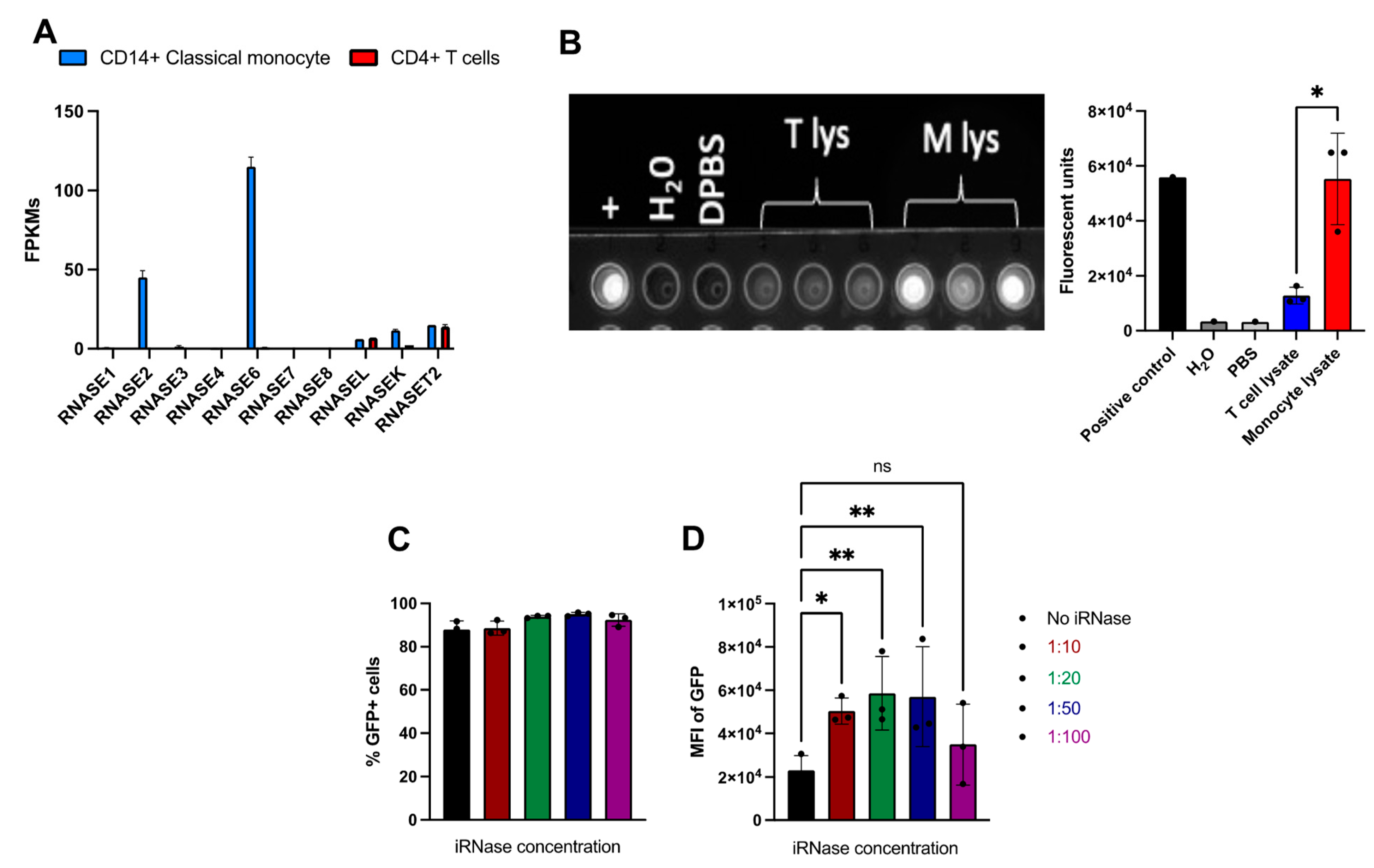 Ijms Free Full Text A Pan Rnase Inhibitor Enabling Crispr Mrna