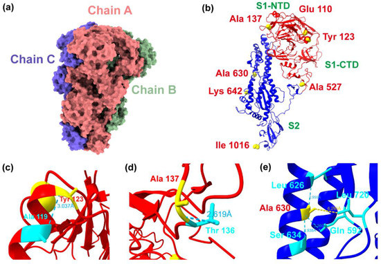 IJMS | Free Full-Text | Historical Evolutionary Dynamics and ...