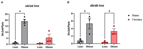 Investigating the Expression and Function of the Glucose Transporter ...
