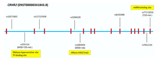 Comorbidity of Novel CRHR2 Gene Variants in Type 2 Diabetes and Depression