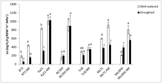 Using the Maize Nested Association Mapping (NAM) Population to ...