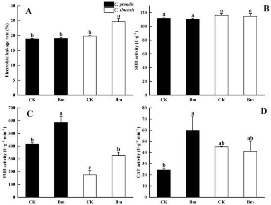 Photosynthetic Characteristics and Chloroplast Ultrastructure Responses ...