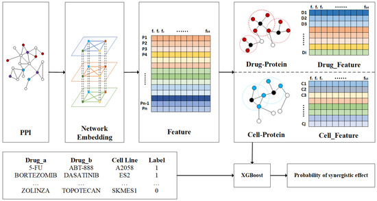 NEXGB: A Network Embedding Framework for Anticancer Drug Combination Prediction