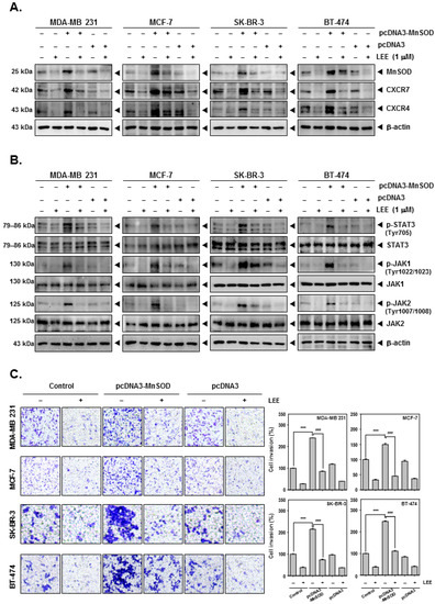 Potential Application of Leelamine as a Novel Regulator of Chemokine ...