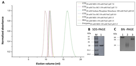 Staphylococcus aureus Exfoliative Toxin E, Oligomeric State and Flip of ...