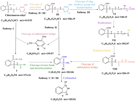A Novel Pathway of Chlorimuron-Ethyl Biodegradation by ...