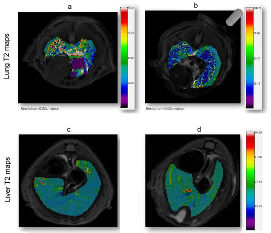 Erythro–Magneto–HA–Virosome: A Bio-Inspired Drug Delivery System for ...