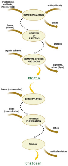 Neat Chitosan Porous Materials: A Review of Preparation, Structure ...