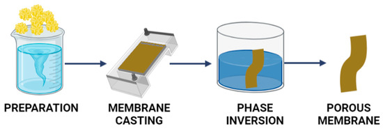 Neat Chitosan Porous Materials: A Review of Preparation, Structure ...