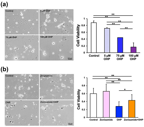 Pretreatment with Zonisamide Mitigates Oxaliplatin-Induced Toxicity in ...