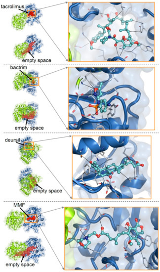 Pathomorphogenesis of Glycogen-Ground Glass Hepatocytic Inclusions ...