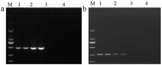 Qualitative and Quantitative Real-Time PCR Methods for Assessing False ...