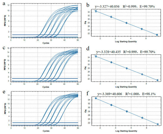 Qualitative and Quantitative Real-Time PCR Methods for Assessing False ...