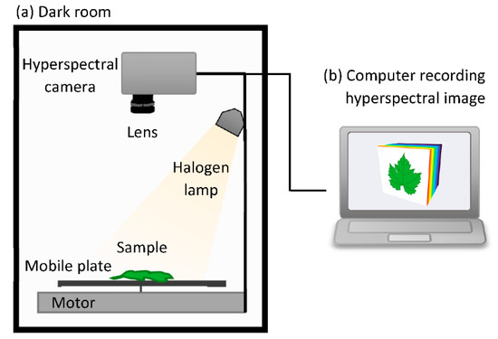 Spatial–Spectral Analysis of Hyperspectral Images Reveals Early ...
