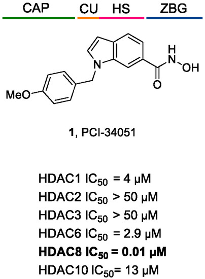 A Therapeutic Perspective of HDAC8 in Different Diseases: An Overview ...