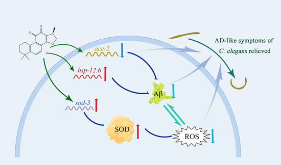 IJMS | Free Full-Text | Cryptotanshinone Alleviates Oxidative Stress ...