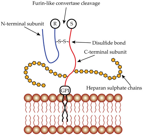 IJMS | Free Full-Text | Novel Nanotechnology Approaches to Overcome Drug Resistance in the ...