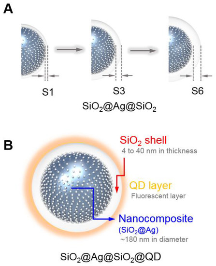 Silica Shell Thickness-Dependent Fluorescence Properties of SiO2@Ag ...