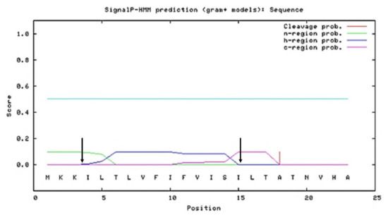 Optimization of Signal Peptide via Site-Directed Mutagenesis for ...