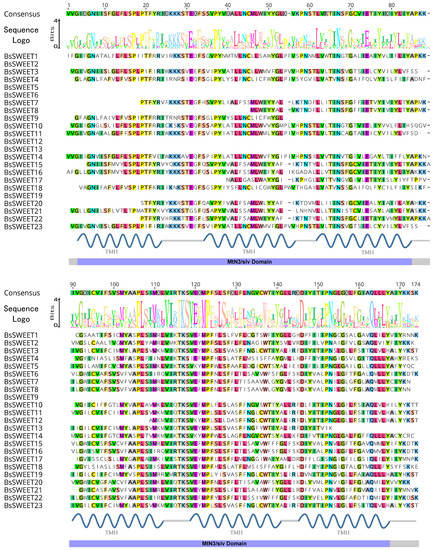 IJMS | Free Full-Text | Genome-Wide Identification and Expression Patterns of the SWEET Gene ...