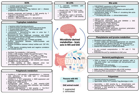 IJMS | Free Full-Text | How Microbiota-Derived Metabolites Link the Gut ...