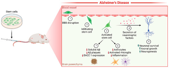 The Impairment of Blood-Brain Barrier in Alzheimer’s Disease ...