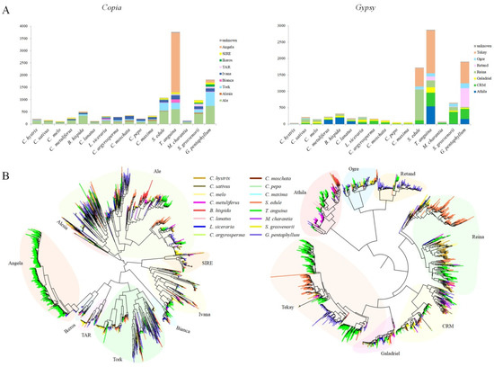 Impact of LTR-Retrotransposons on Genome Structure, Evolution, and ...