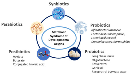 Maternal Supplementation of Probiotics, Prebiotics or Postbiotics to ...