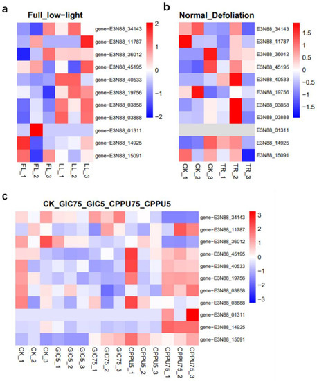 IJMS | Free Full-Text | Genome-Wide Characterization of PIN Auxin ...