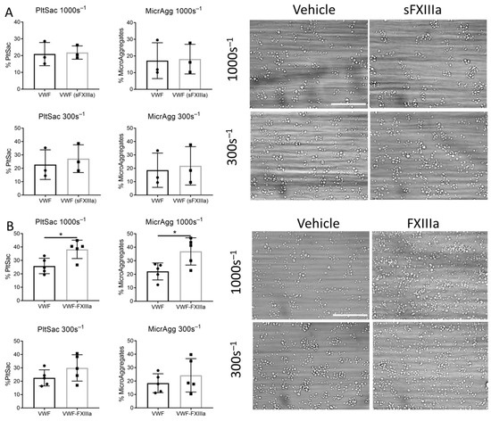 Coagulation Factor XIIIa and Activated Protein C Activate Platelets via ...