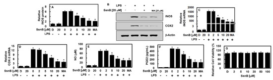 Anti-Inflammatory Effect of Sparstolonin B through Inhibiting ...