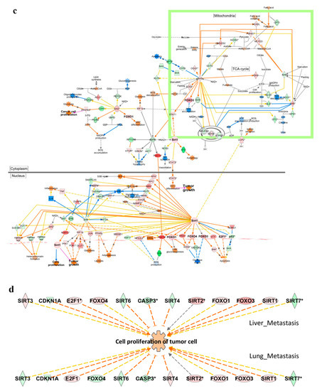 SIRT1/FOXO Signaling Pathway in Breast Cancer Progression and Metastasis