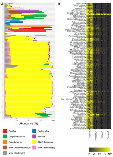 IJMS | Free Full-Text | Exploring the Healthy Eye Microbiota Niche in a ...