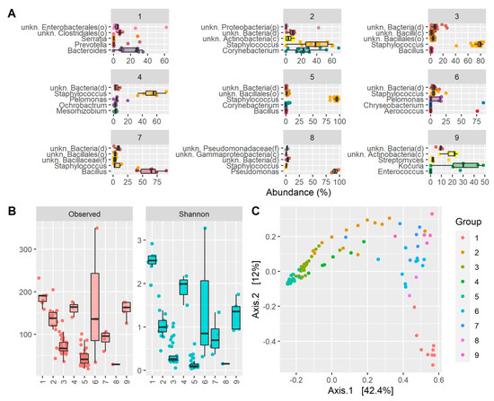 IJMS | Free Full-Text | Exploring the Healthy Eye Microbiota Niche in a ...