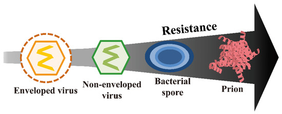 Recent Advances in Prion Inactivation by Plasma Sterilizer