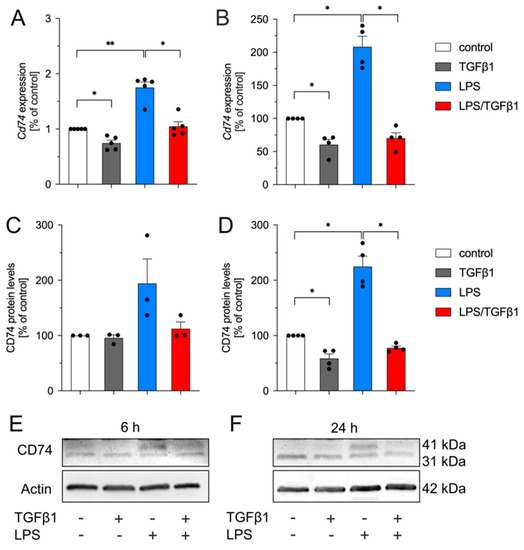 Microglial CD74 Expression Is Regulated by TGFβ Signaling