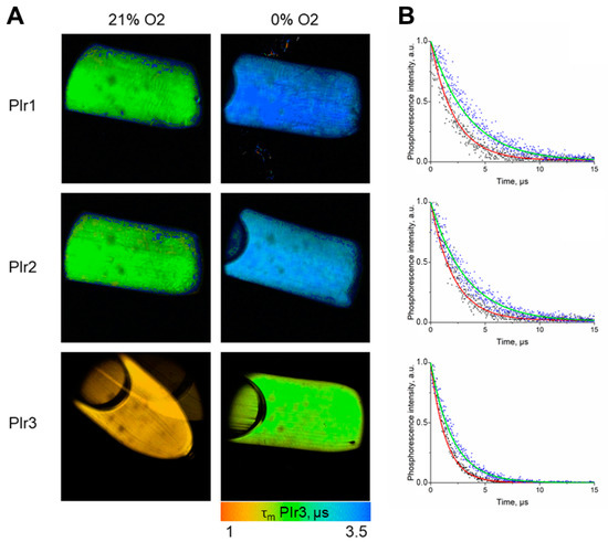 Simultaneous Probing of Metabolism and Oxygenation of Tumors In Vivo ...