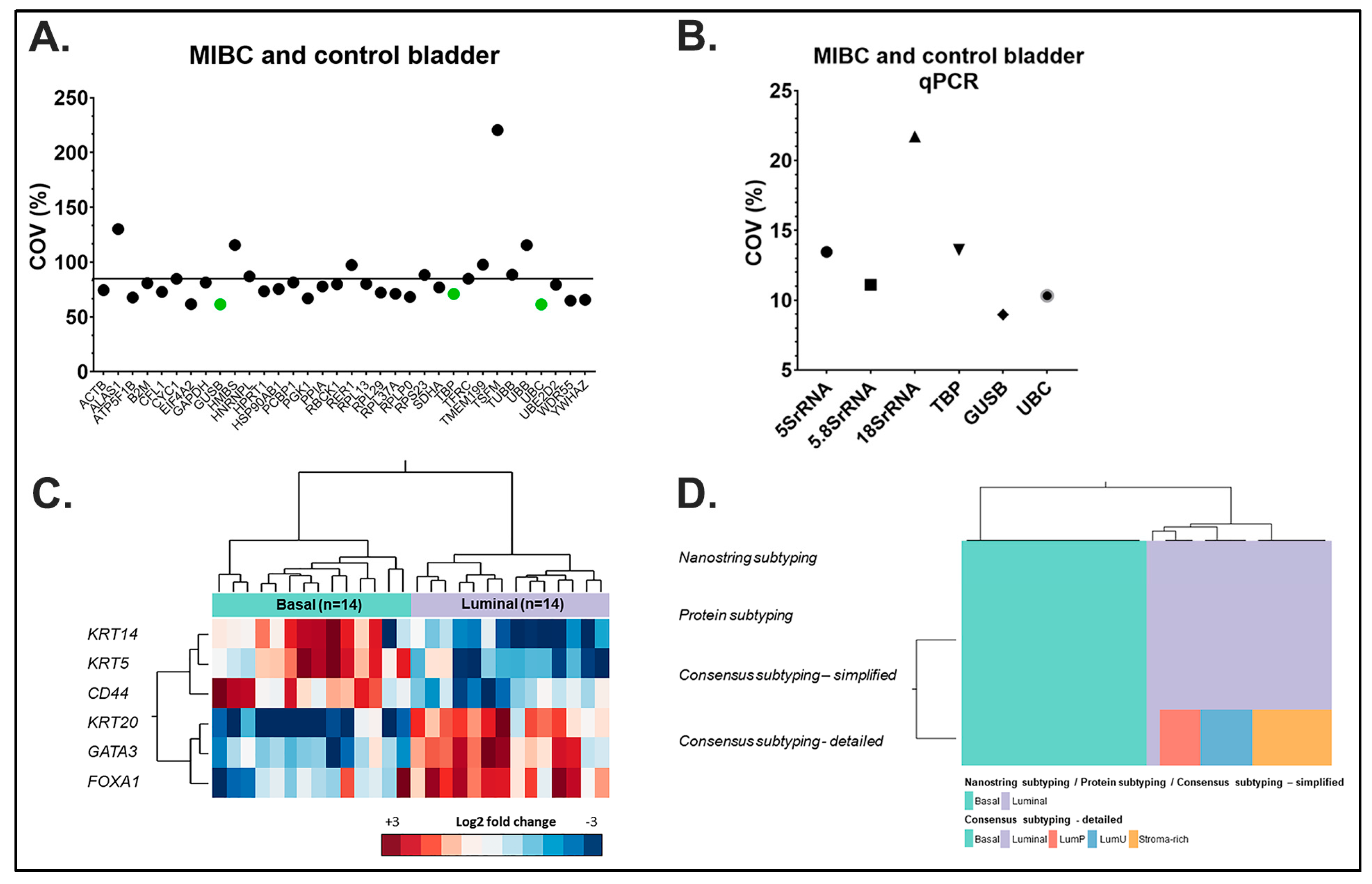 Ijms Free Full Text Improved Bladder Tumor Rna Isolation From