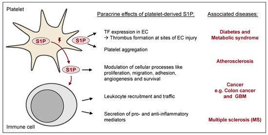 Platelet-Derived S1P and Its Relevance for the Communication with ...